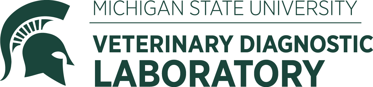 Success Stories - Michigan State University